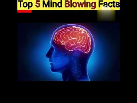 Top 5 Mind Blowing Facts😱#shorts#youtubeshort#shortfeeds#facts#viralshort#InterestingFacts - YouTube