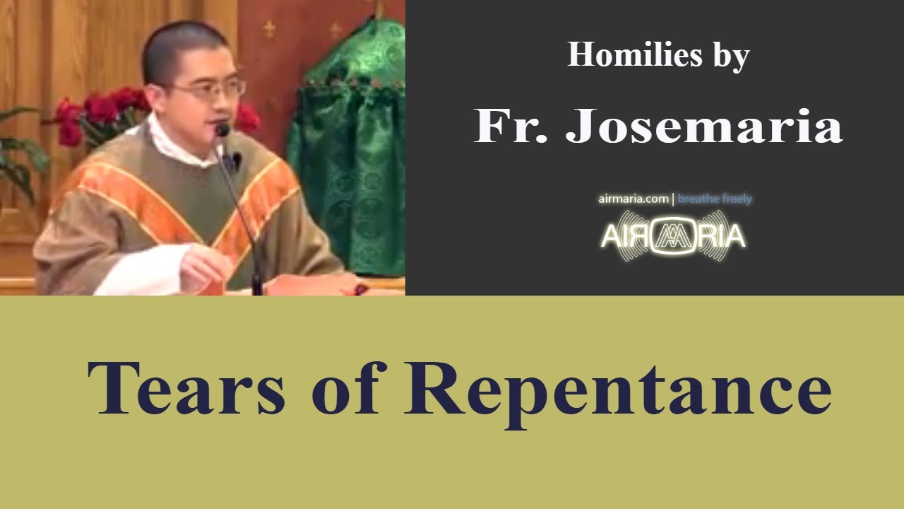 Tears of Repentance - Feb 01 - Homily - Fr Josemaria - YouTube