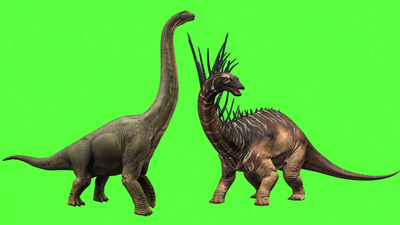 Green Screen Dinosaur - Brachiosaurus and Bajadasaurus - Jurassic World ...