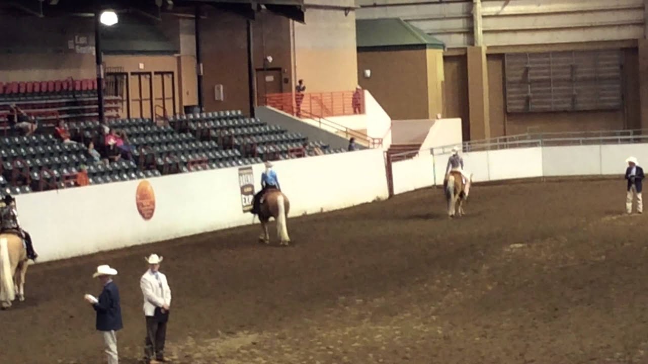Vested Pine Assets 2014 PHBA Youth World Novice Western Pleasure - YouTube