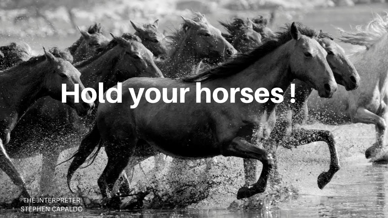Hold your horses! - YouTube
