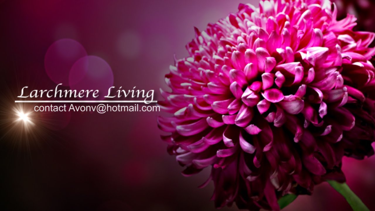 Larchmere Living - YouTube