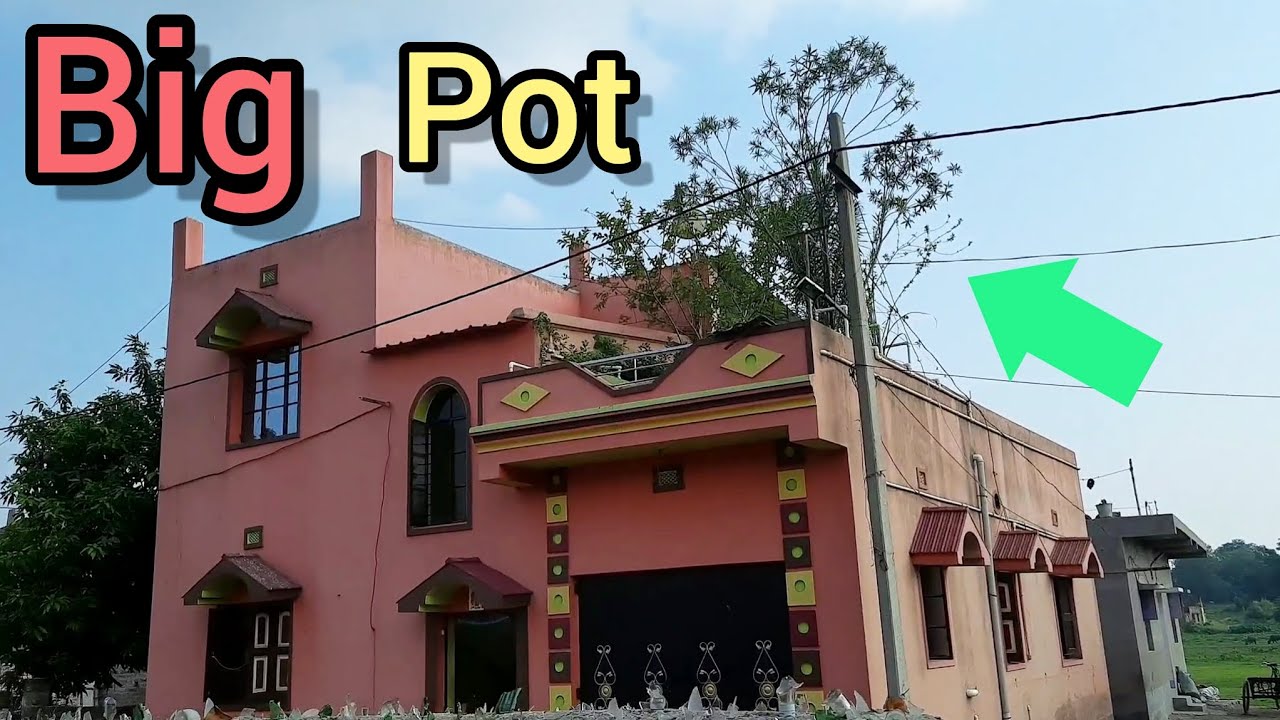 Biggest Pot. छत बड़ा गमला। - YouTube