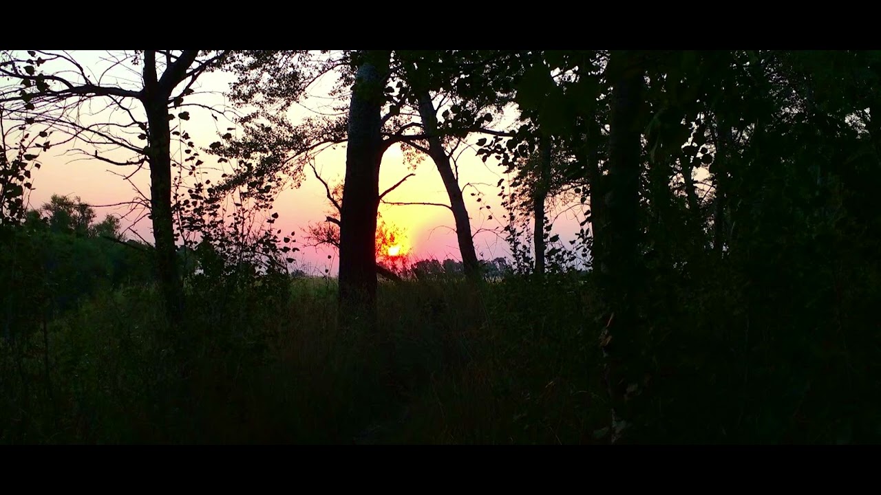 Sol de Octubre - YouTube