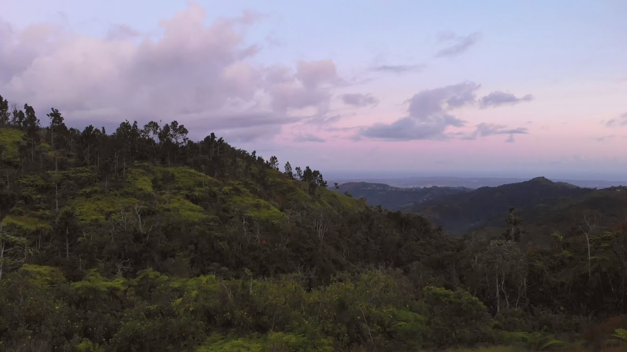 Puerto Rico Drone Compilation - August 2019 - YouTube