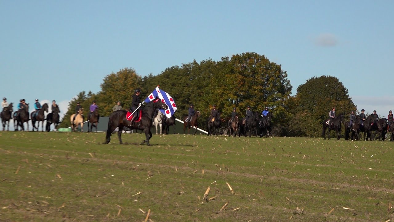 Friese ruiters verjagen de wolf over de provinciegrens - YouTube
