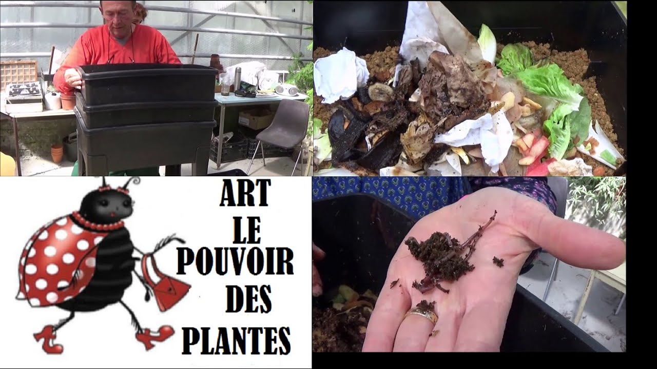 Mix jardinnage: Composter ses déchets organiques (épluchure de fruits ...