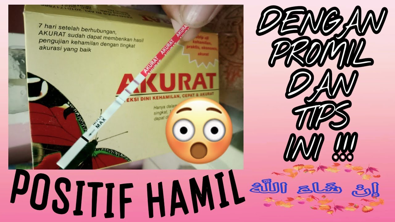 PROMIL dan TIPS AGAR CEPAT HAMIL-Tanpa ke Dokter - YouTube