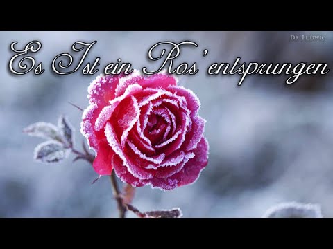 Es ist ein Ros' entsprungen [German Christmas song][+English ...
