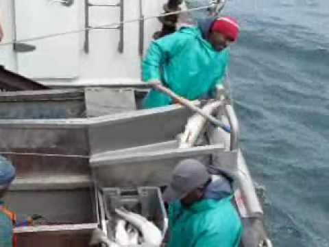 Longline Hake Fishing Offshore South Africa - YouTube