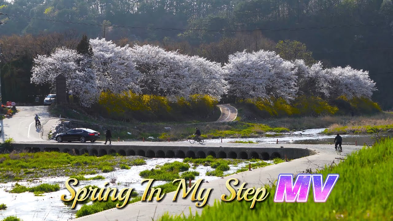 《Spring In My Step》感受春天裡的輕快旋律！高音質、沉浸唯美 ASMR MV，愉悅你的心靈！ - YouTube