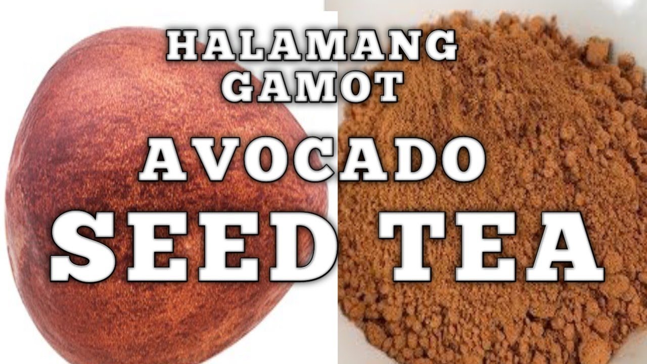 BUTO NG AVOCADO BENEFITS & USES || HALAMANG GAMOT AVOCADO SEED TEA # ...