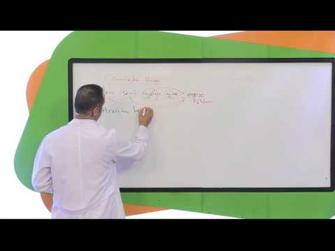 YGS Türkçe Cümlede Vurgu