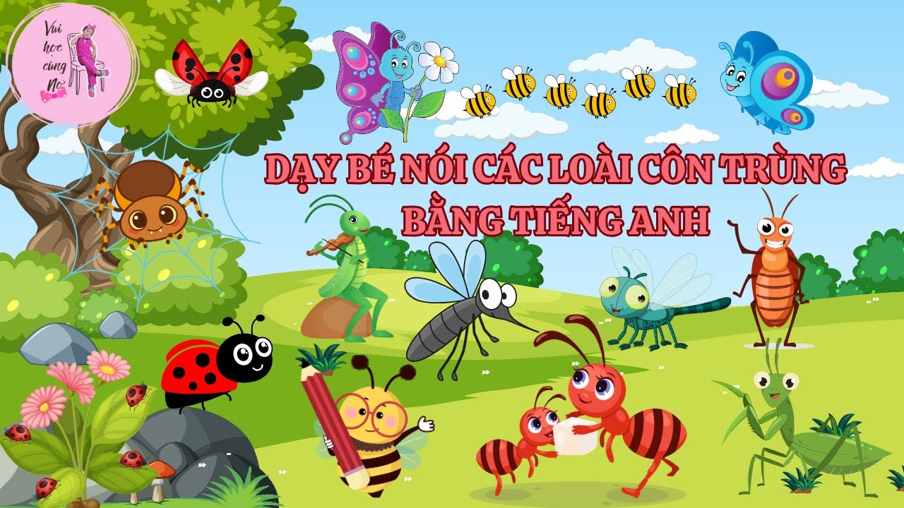 Dạy bé học các loài côn trùng | Thế giới côn trùng | Insects | Vui học ...