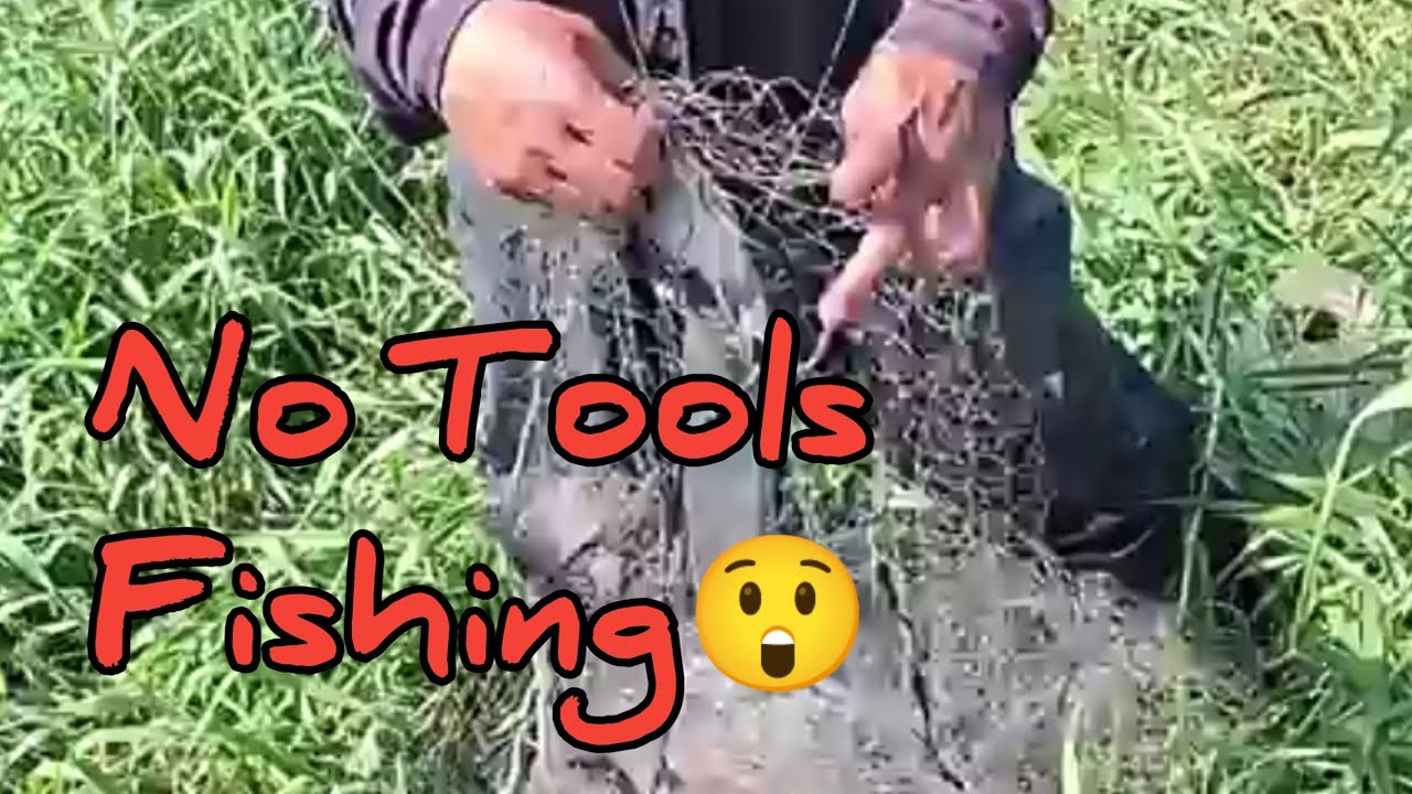 🌿 Primitive Cast Net Fishing: Survival Skills in Action 🎣 - YouTube