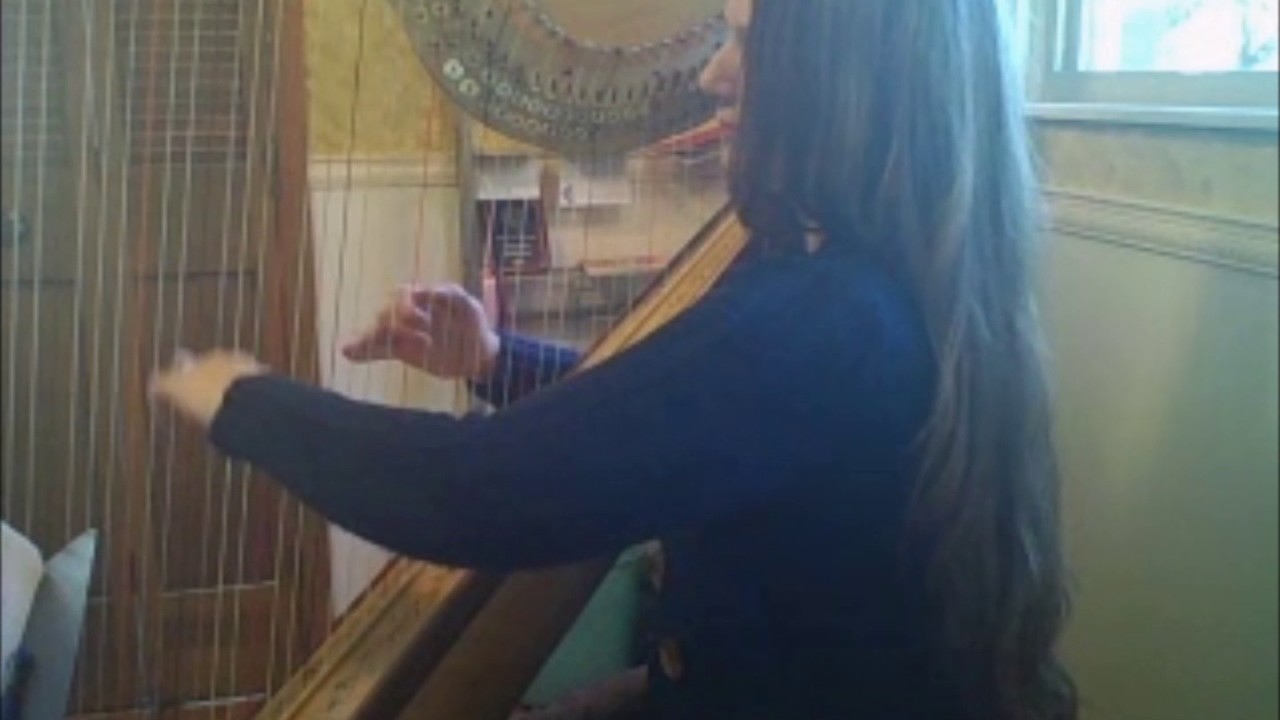 At Last I see the Light (Harp Cover) from Tangled - The Michigan ...