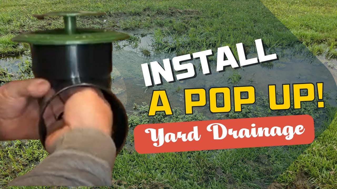 DIY Pop Up Yard Drain Installation (EASY) - YouTube