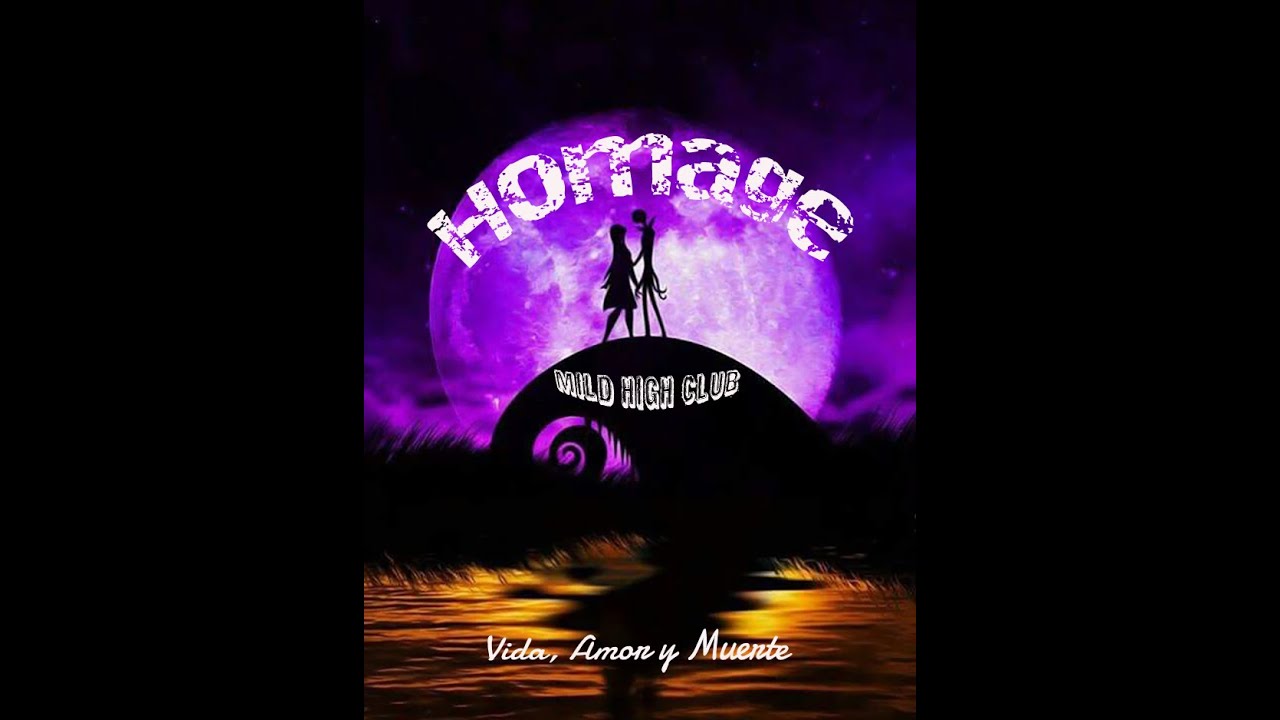 Homage - Wild High Club (sub) | Real of kings | Slowed - YouTube