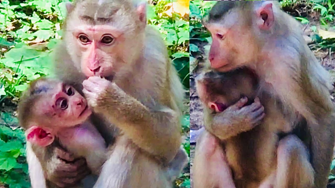 Thanks, God ! Ploy takes care LEO in stead of ANGRY Mom Libby!!! - YouTube