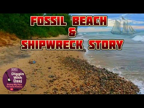 Lake Huron Rock Hunting Beaches With Fossils In It - YouTube