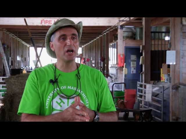 4-H Youth Development - Barnstable County