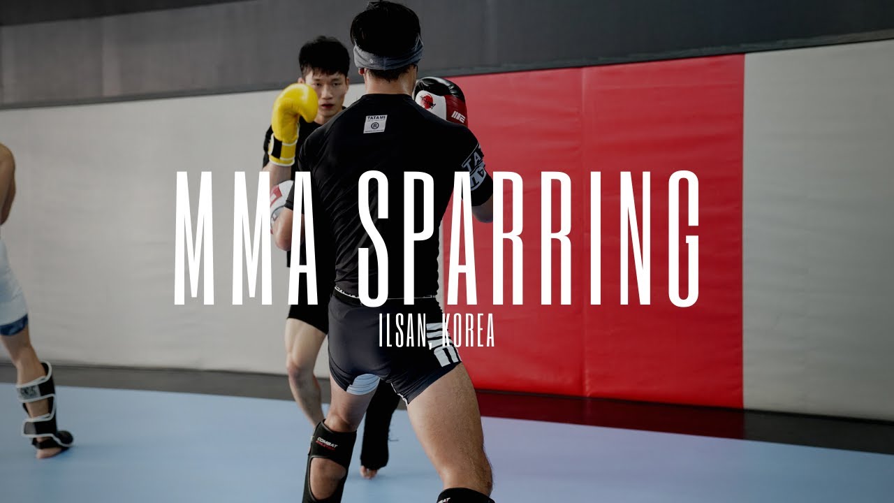Technical MMA Sparring @ Monster House - YouTube