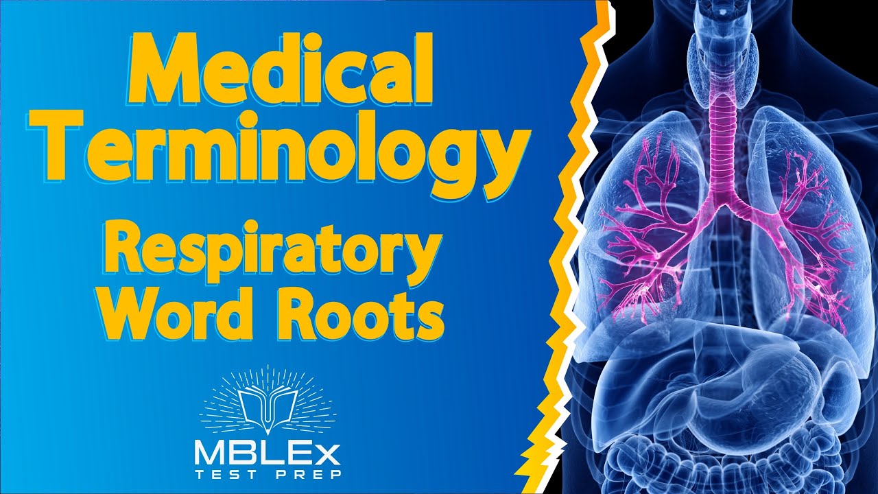 Medical Terminology - Respiratory Word Roots - YouTube