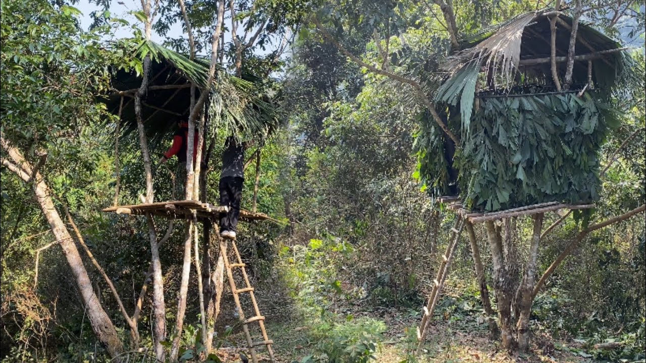 Survive Challenge In The Forest, Build A Shelter In The Tree, Treetop ...