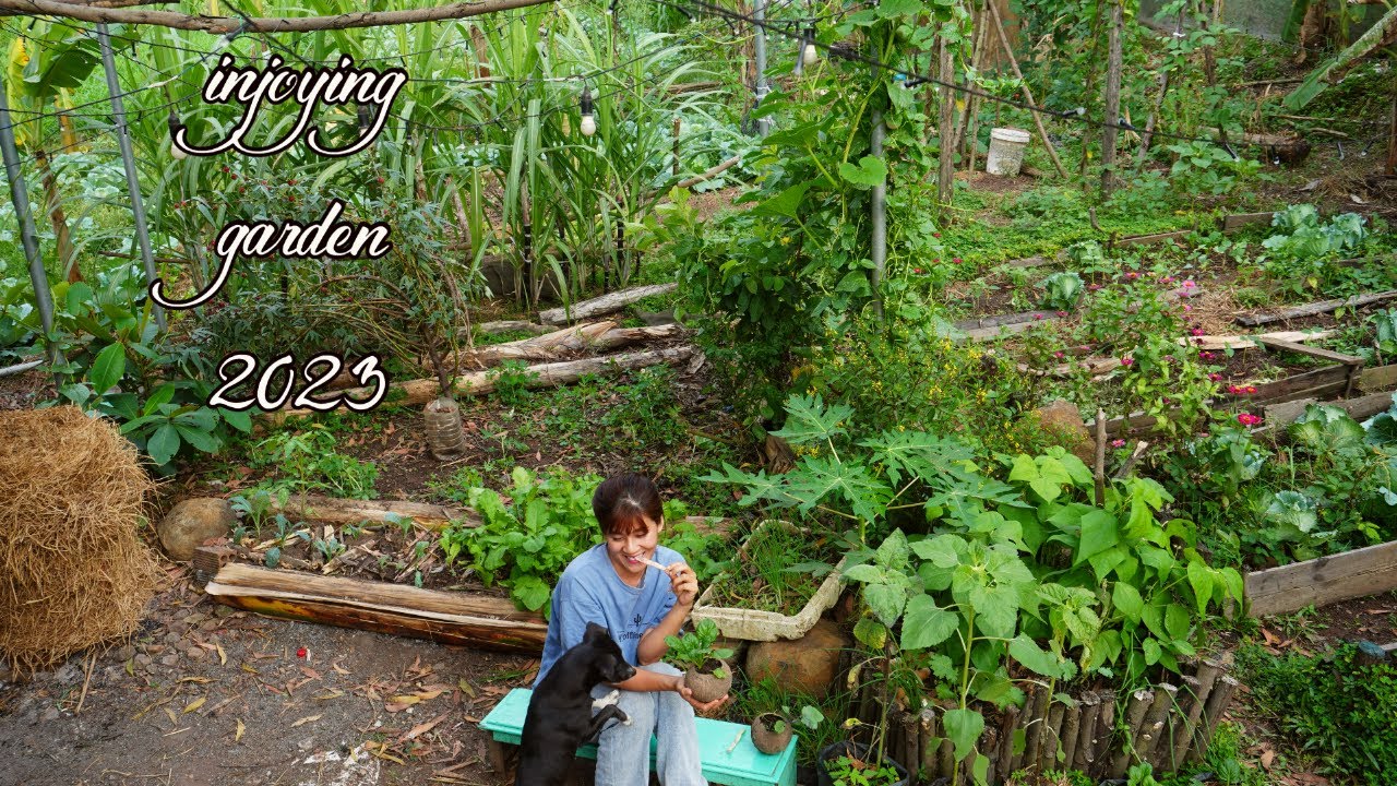 #43 CoCo Farm // Dọn Dẹp Góc Vườn Nhỏ Đón Tết Nguyên Đán 2023 || no dig ...