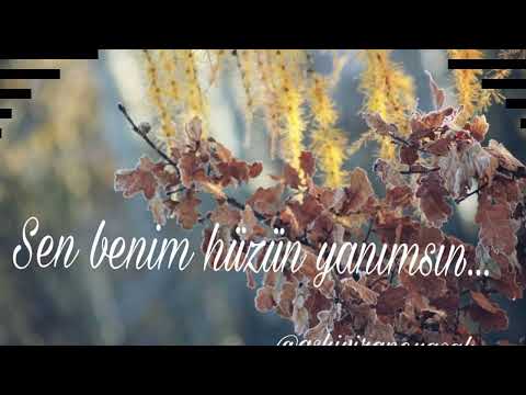 Yasak Aşk-ı Virane Küsmek Nedir Bilir misin? 2022