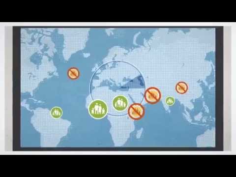 CaLP Cash transfer programming (low resolution) - YouTube