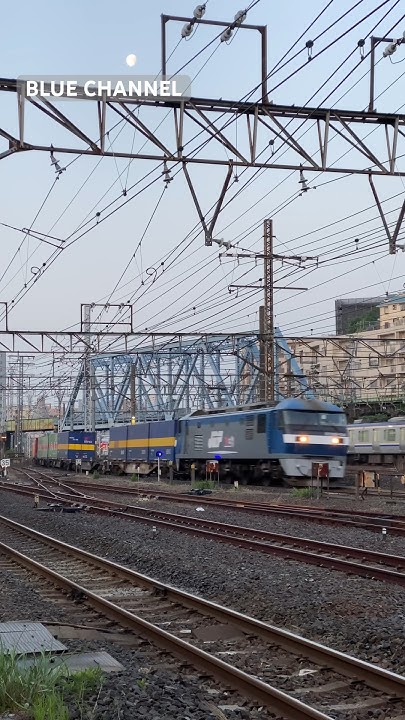 (貨物列車) 2024/04/28 2058レ EF210-104 + コキ20B カンガルーライナーSS60 (吹田タ〜陸前山王) #Shorts - YouTube