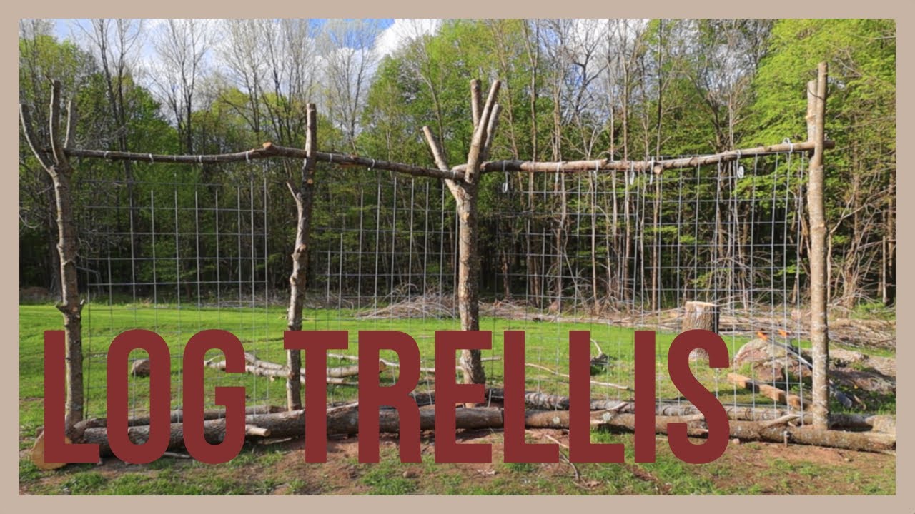 Completing the Log Trellis - YouTube