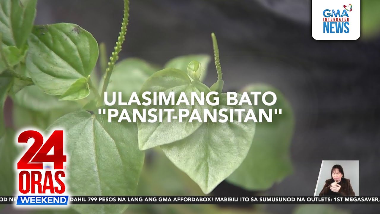 Posibleng gamot sa gout, binuo ng ilang pinoy researcher mula sa...| 24 ...
