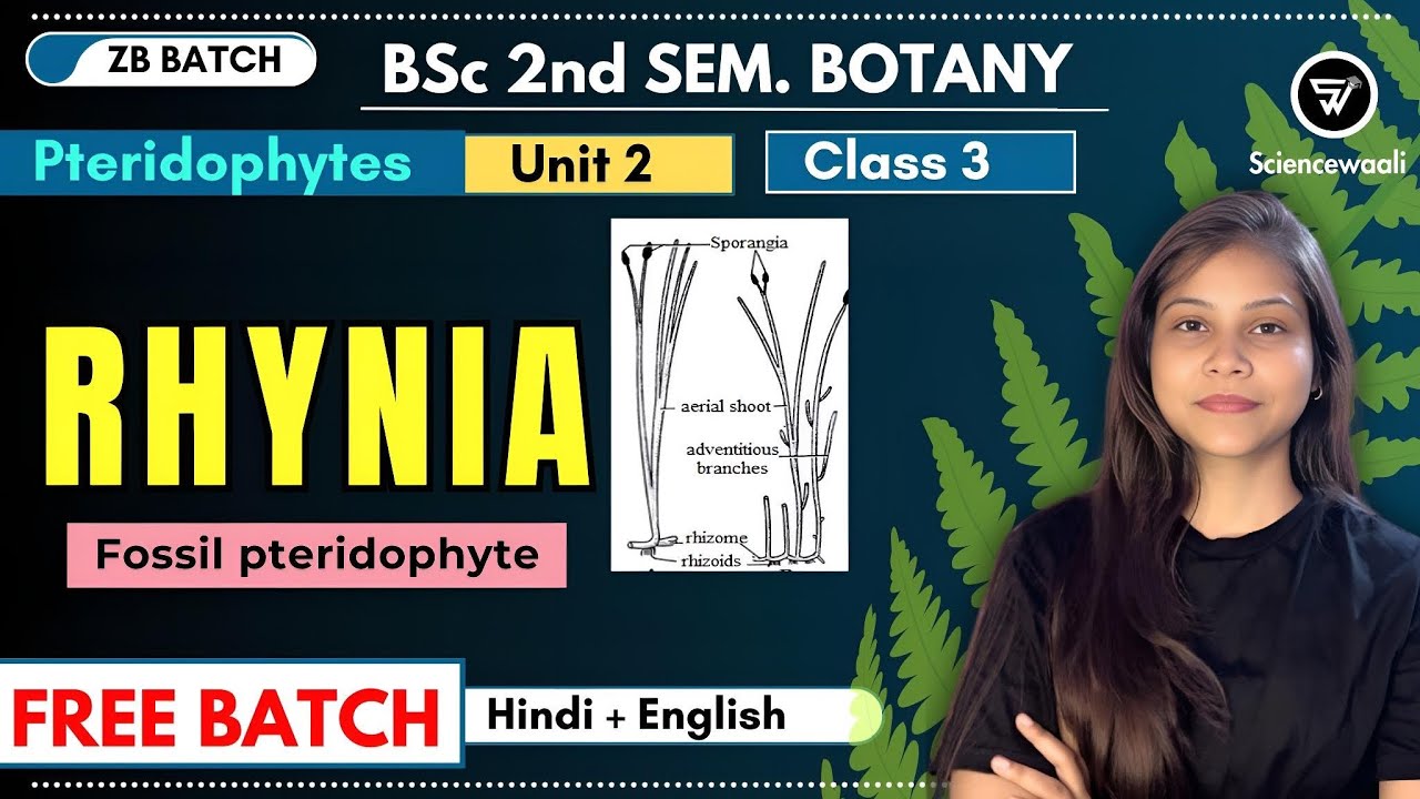 Rhynia fossil pteridophyte bsc 1st year 2nd semester unit 2 🔥💯 ZB Batch ...