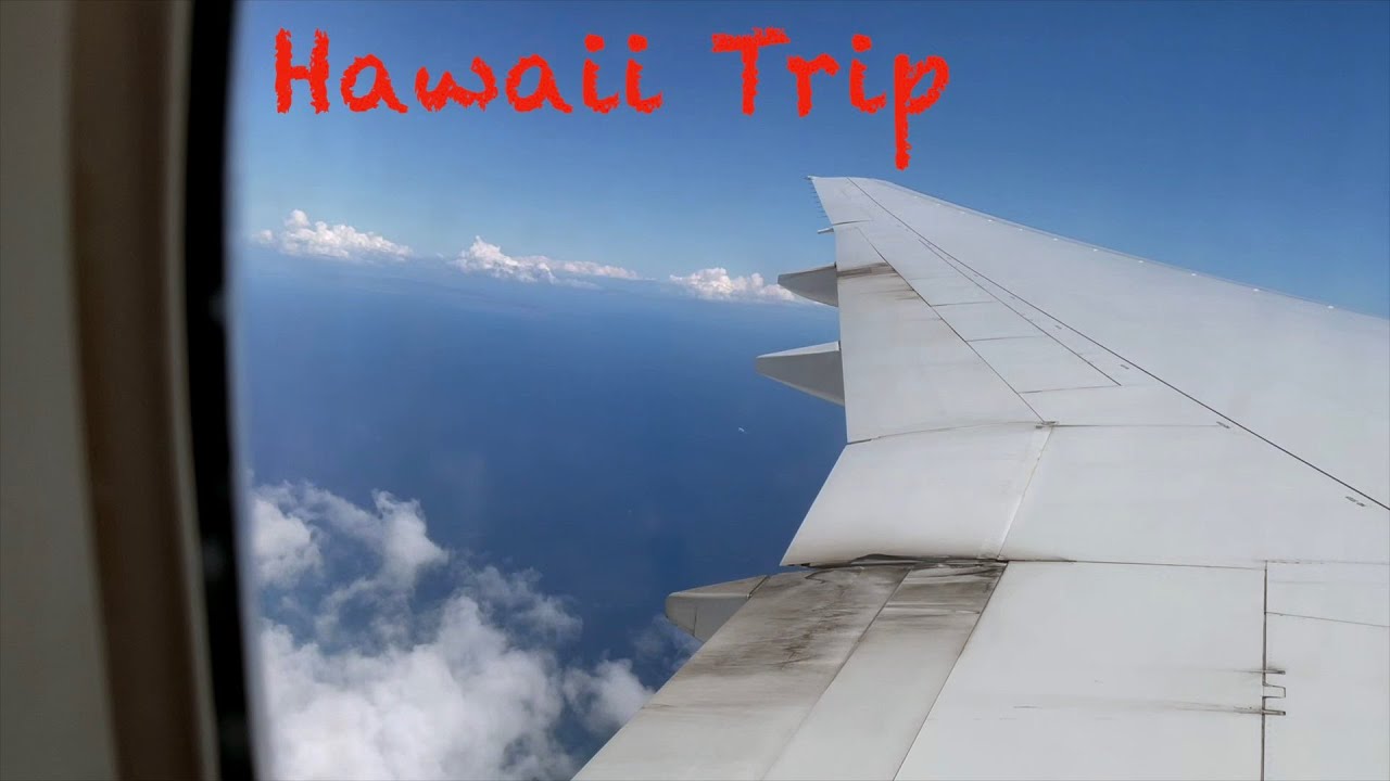 Join Florida Joe On His Hawaiian Adventure! - YouTube