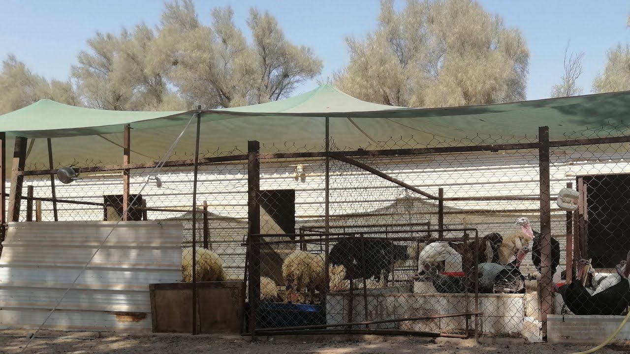 PICNIC TIME IN THE FARM HOUSE!! - YouTube
