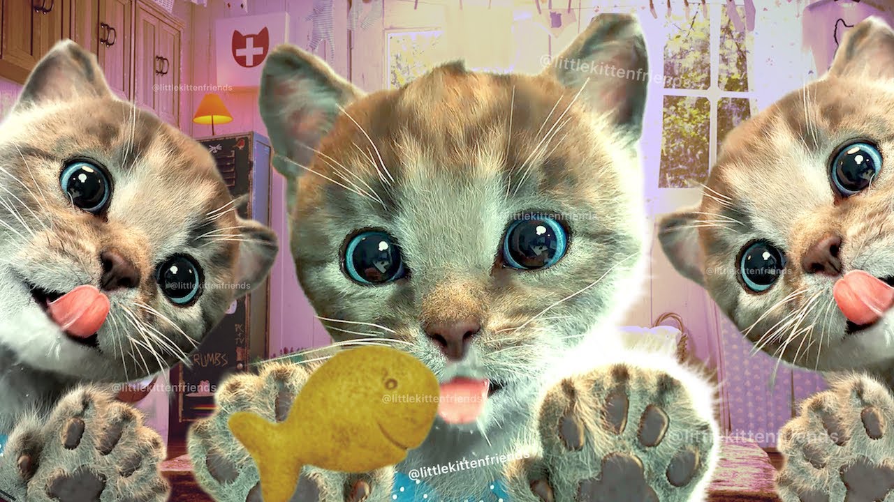 Little Kitten Preschool Adventure Educational Games -Play Fun Cute ...