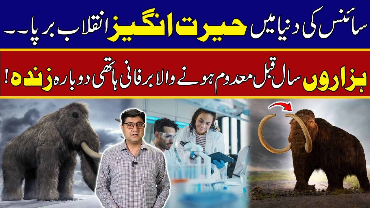 Scientists Great Achievement About Extinct Elephant - Must Watch - Rohi ...