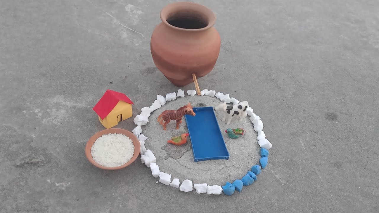 is bhayankar garmi mein chhat par chidiya ke liye mini swimming pool ...