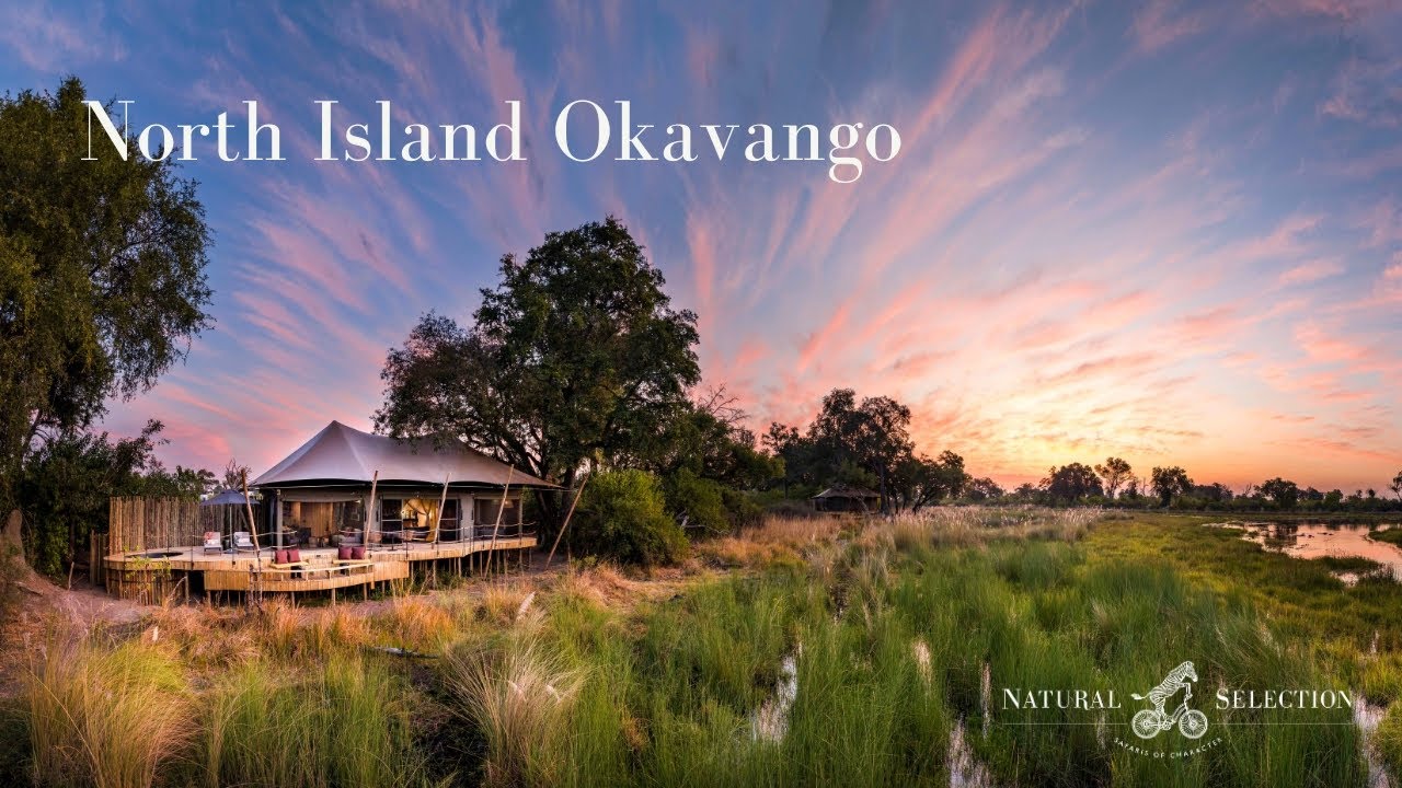 North Island Okavango | Okavango Delta | Botswana - YouTube