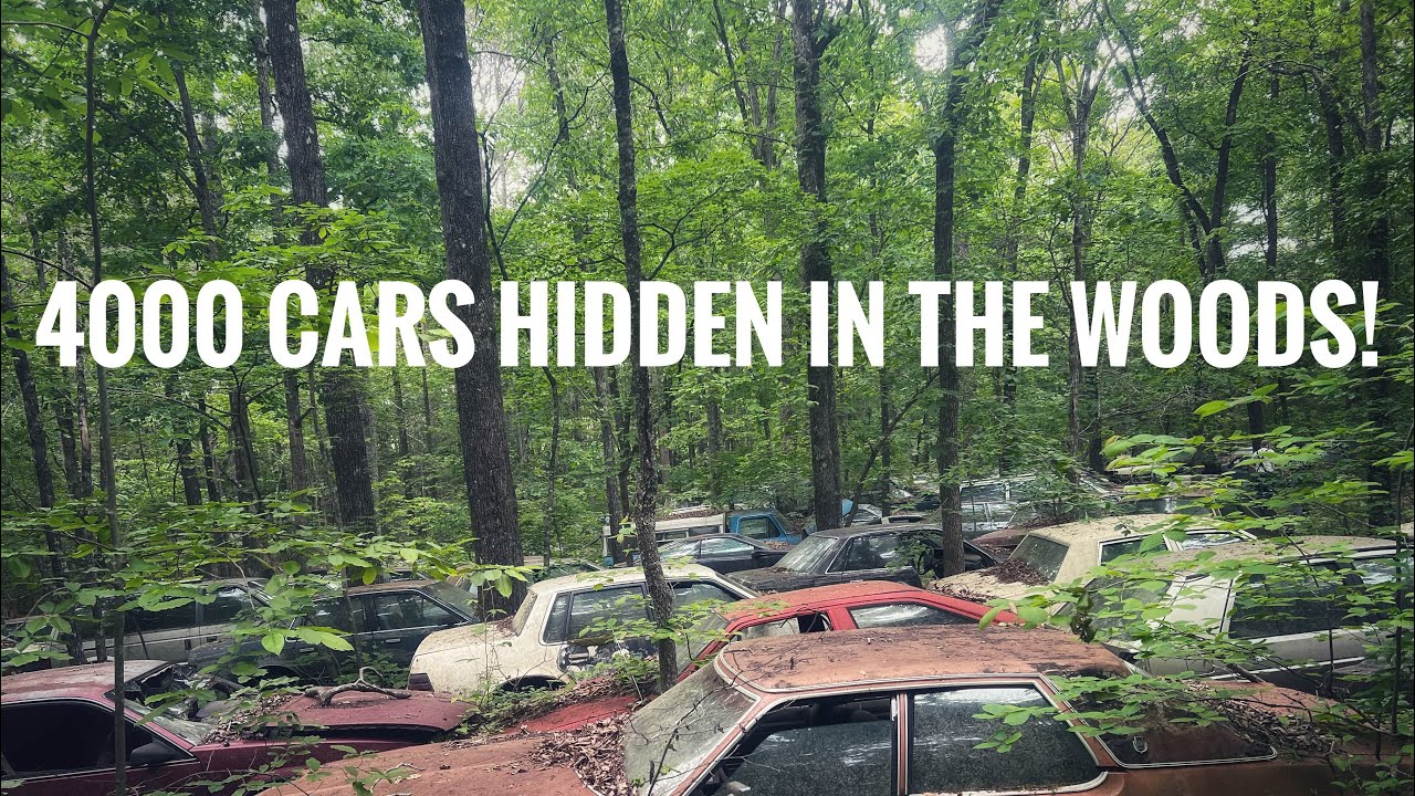 Unbelievable car collection hidden in the forest, I buy my dream car ...