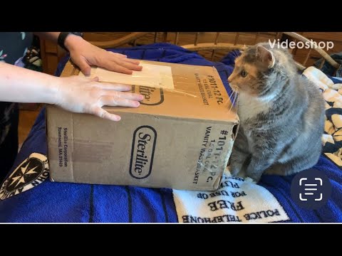 box opening. A little bit disappointed :( - YouTube