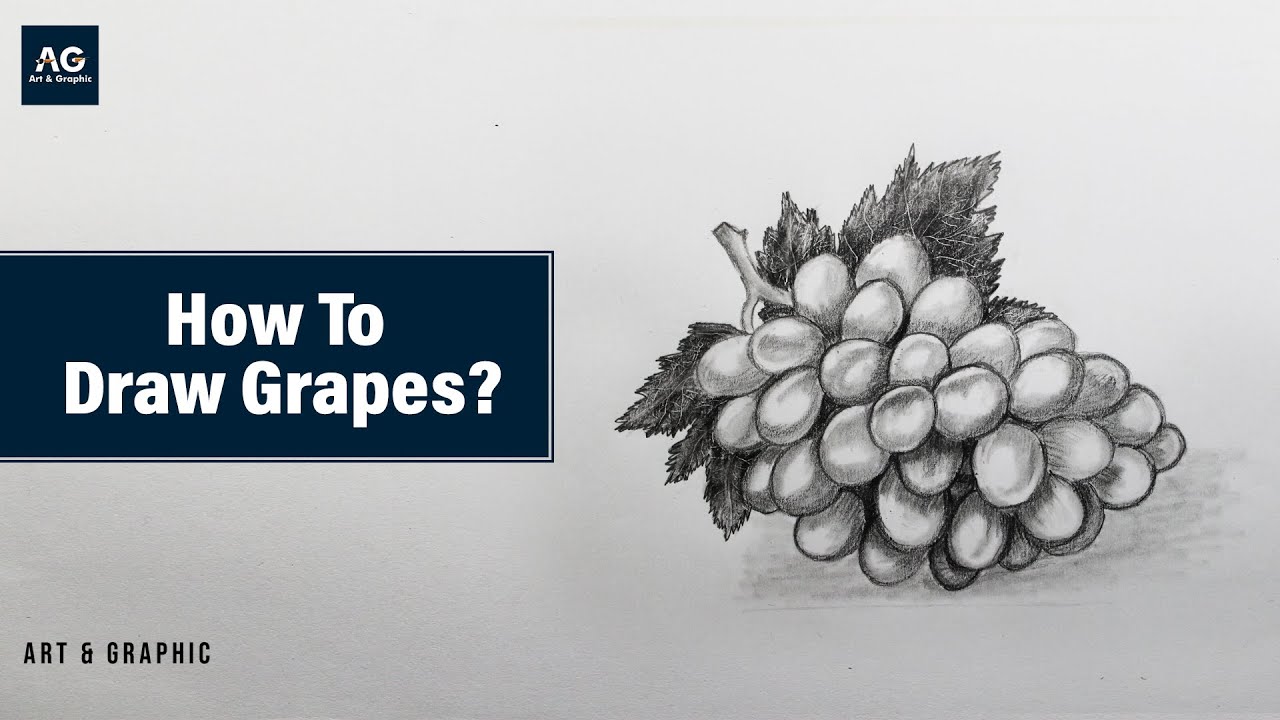 How to Draw Grapes | Easy Grapes Drawing Step by Step - YouTube