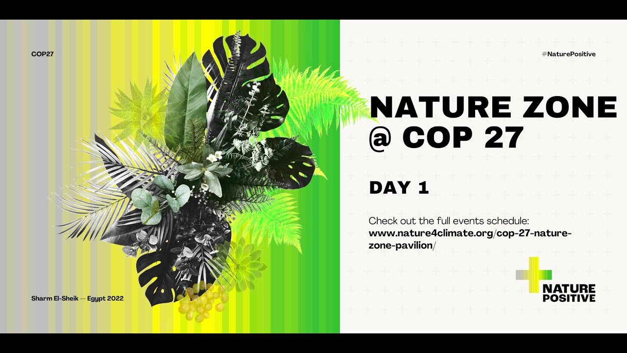CoP 27 Nature Zone - Day 1 - YouTube