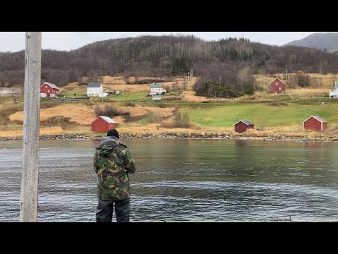Trying new places and a Halibut run - YouTube