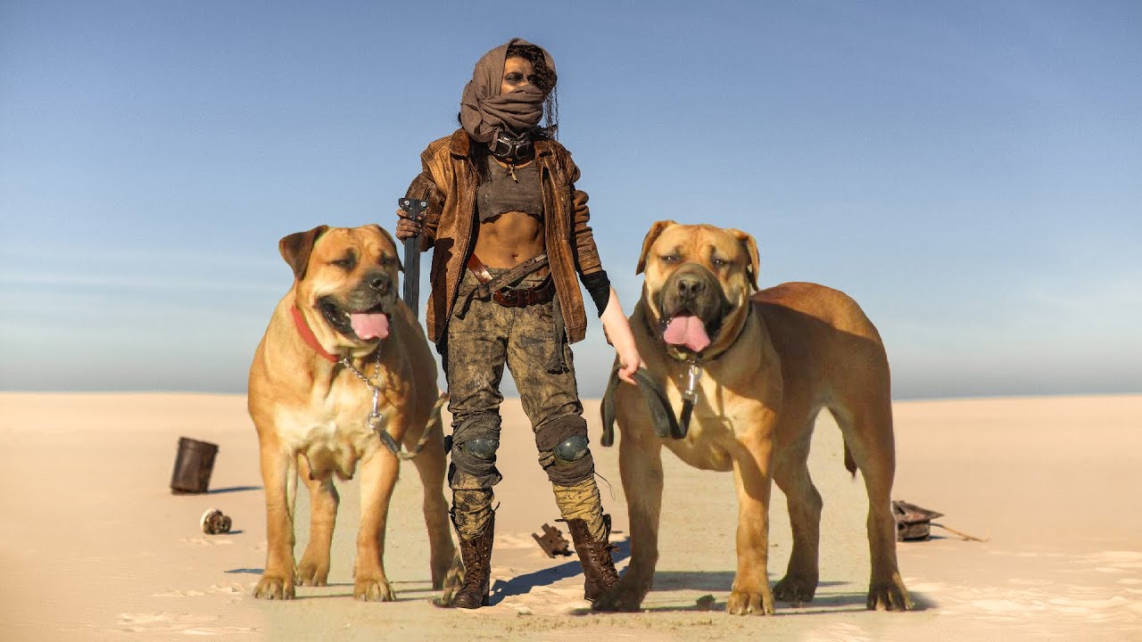 Best Dogs for an Apocalypse - YouTube