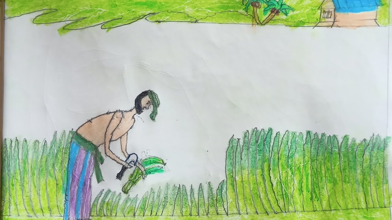 How To Draw A Rice Harvesting Scenery / ধান কাটার দৃশ্য - YouTube