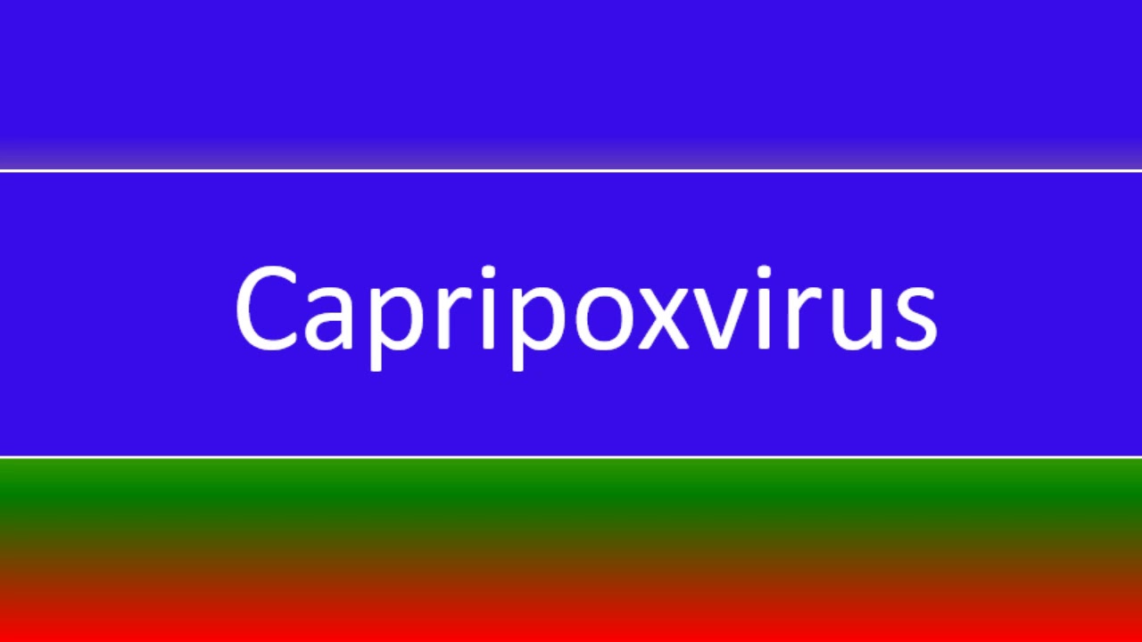 What is Capripoxvirus - YouTube