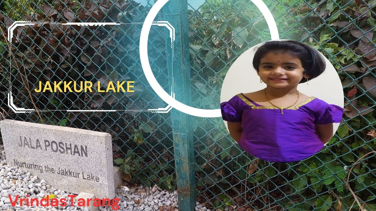 Bangalore lakes : Nurturing Jakkur lake (Jala Poshan) - Fish at Jakkur ...